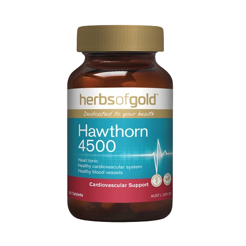 Responsive Herbal website - Rodiyah